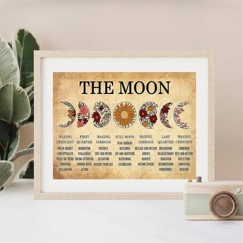 Moon Phase Chart Poster – Viho Shop